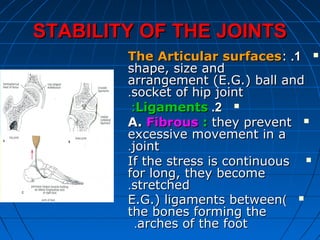 Joints - Anatomy | PPT