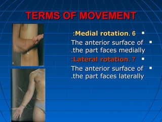 Joints - Anatomy | PPT