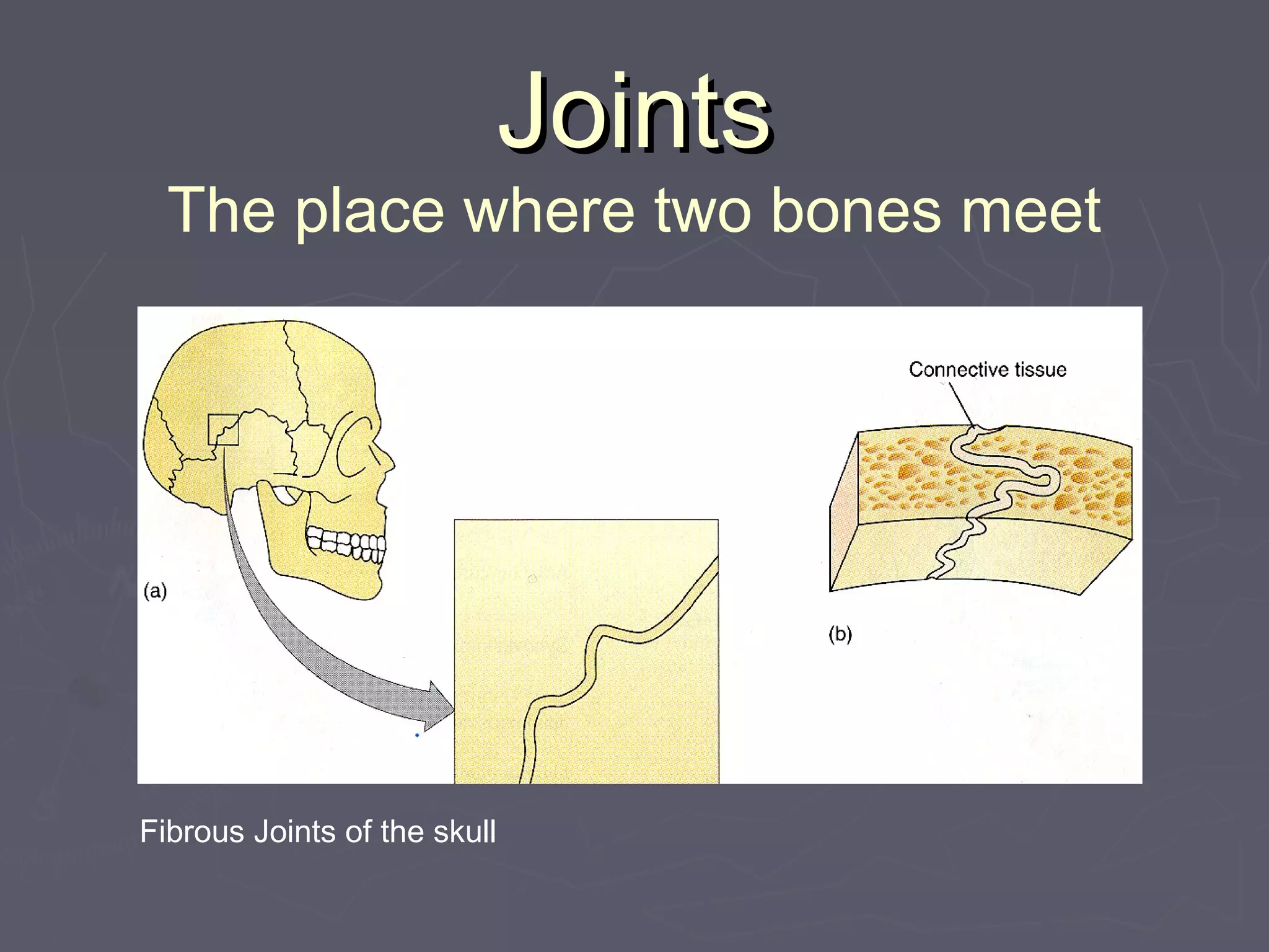 Joints | PPT