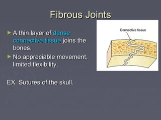 Joints | PPT