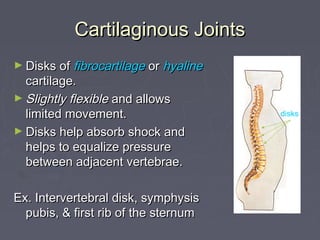Joints | PPT