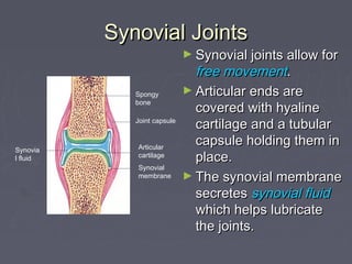 Joints | PPT