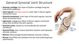 Joints | PPTX