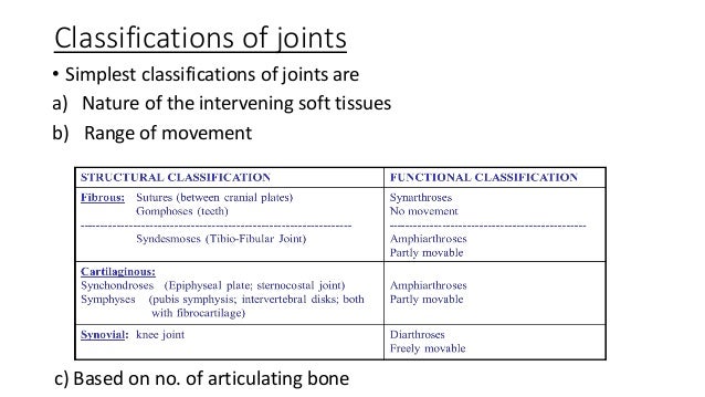 Classification Of Joints