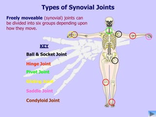joints-150716123754-lva1-app6891.pptx