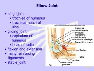 Joints | PPT