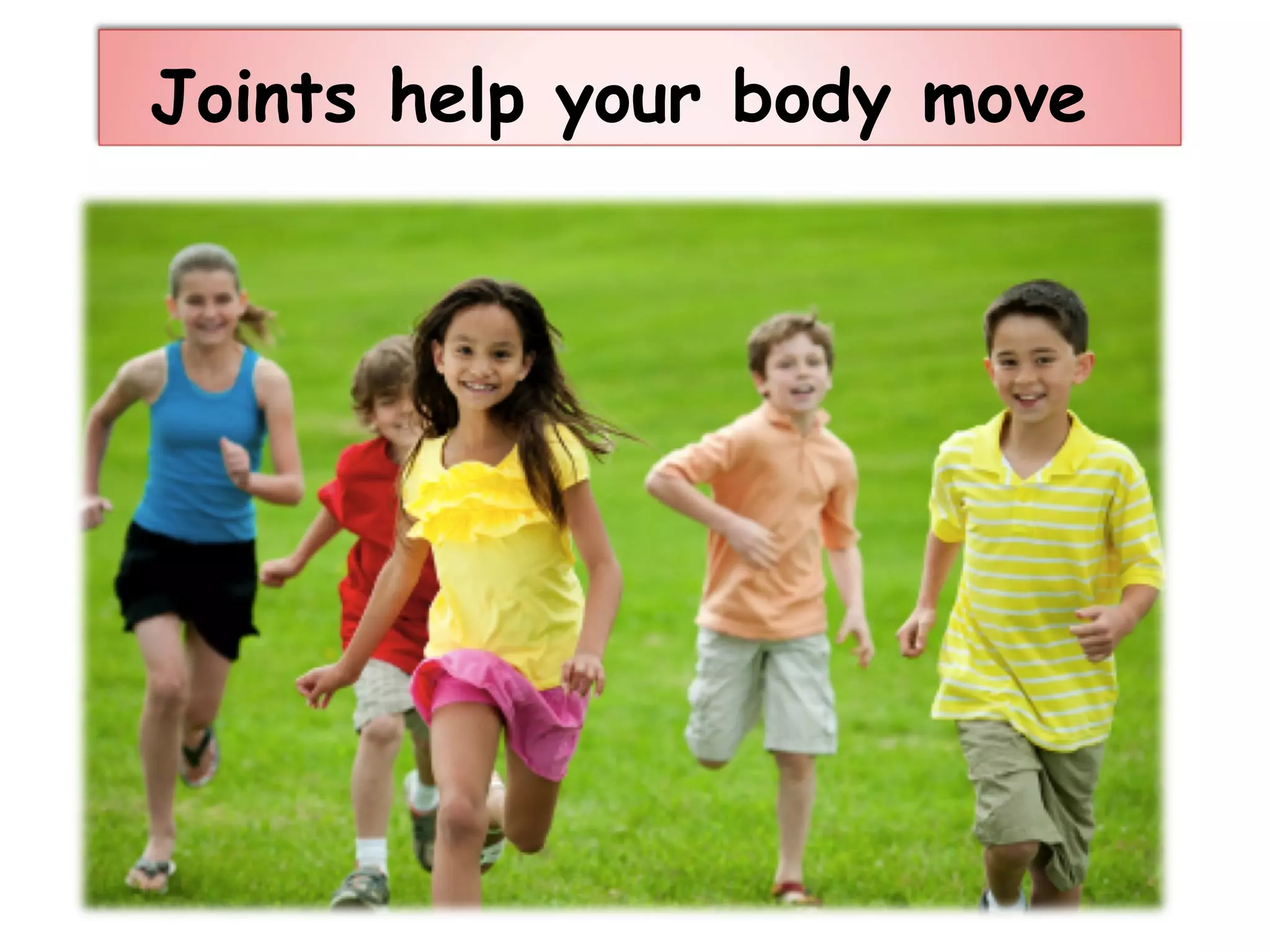 Joints | PPT
