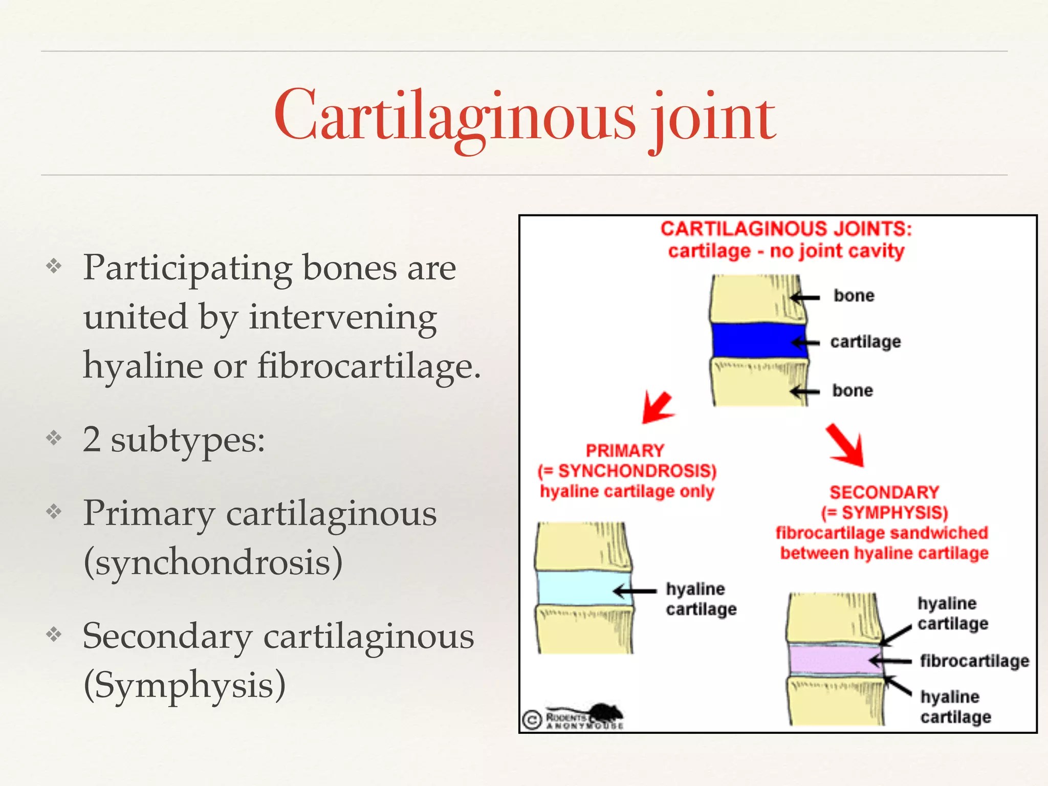 Classification of joints & joint mechanics | PDF