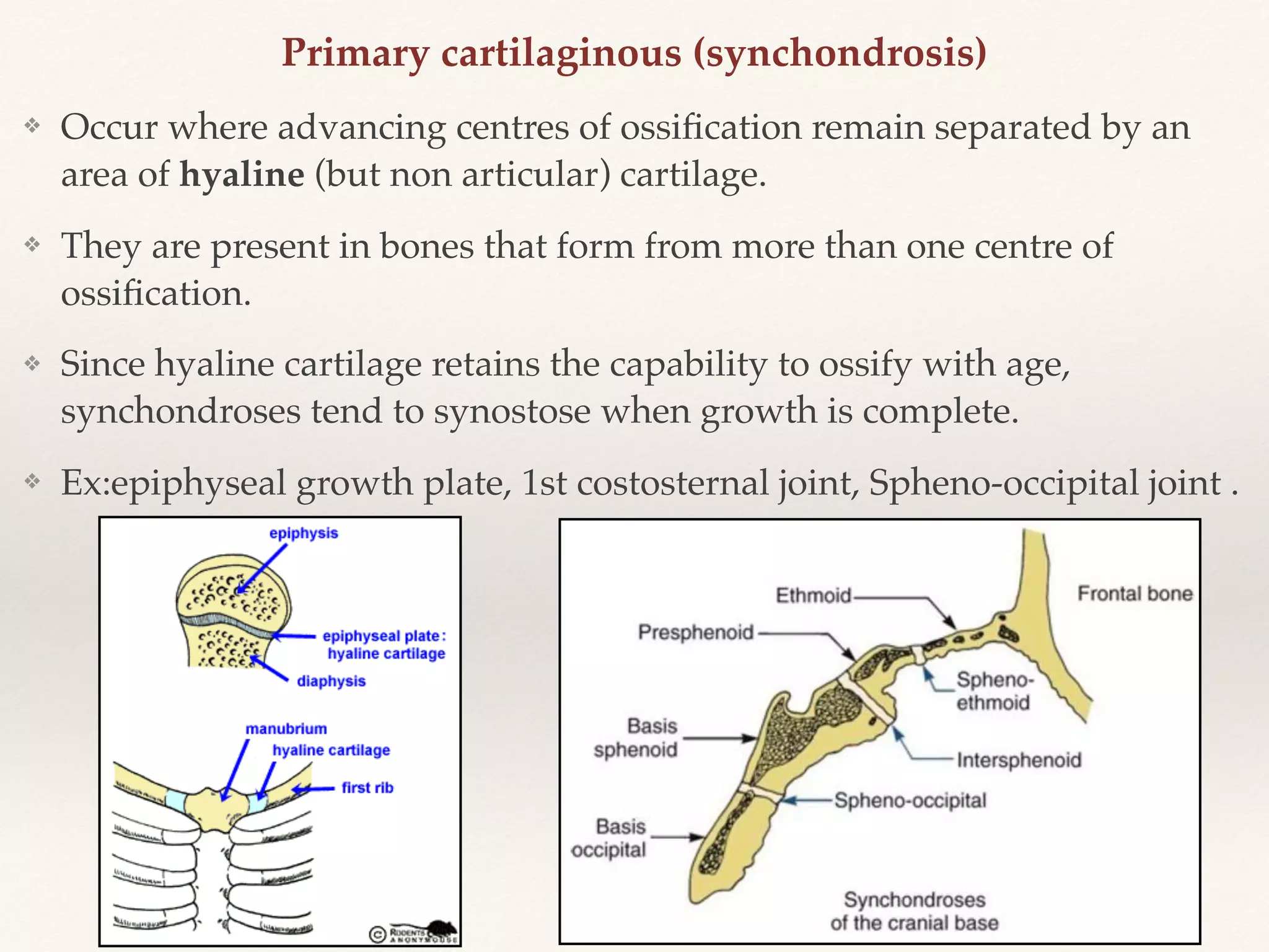 Classification of joints & joint mechanics | PDF