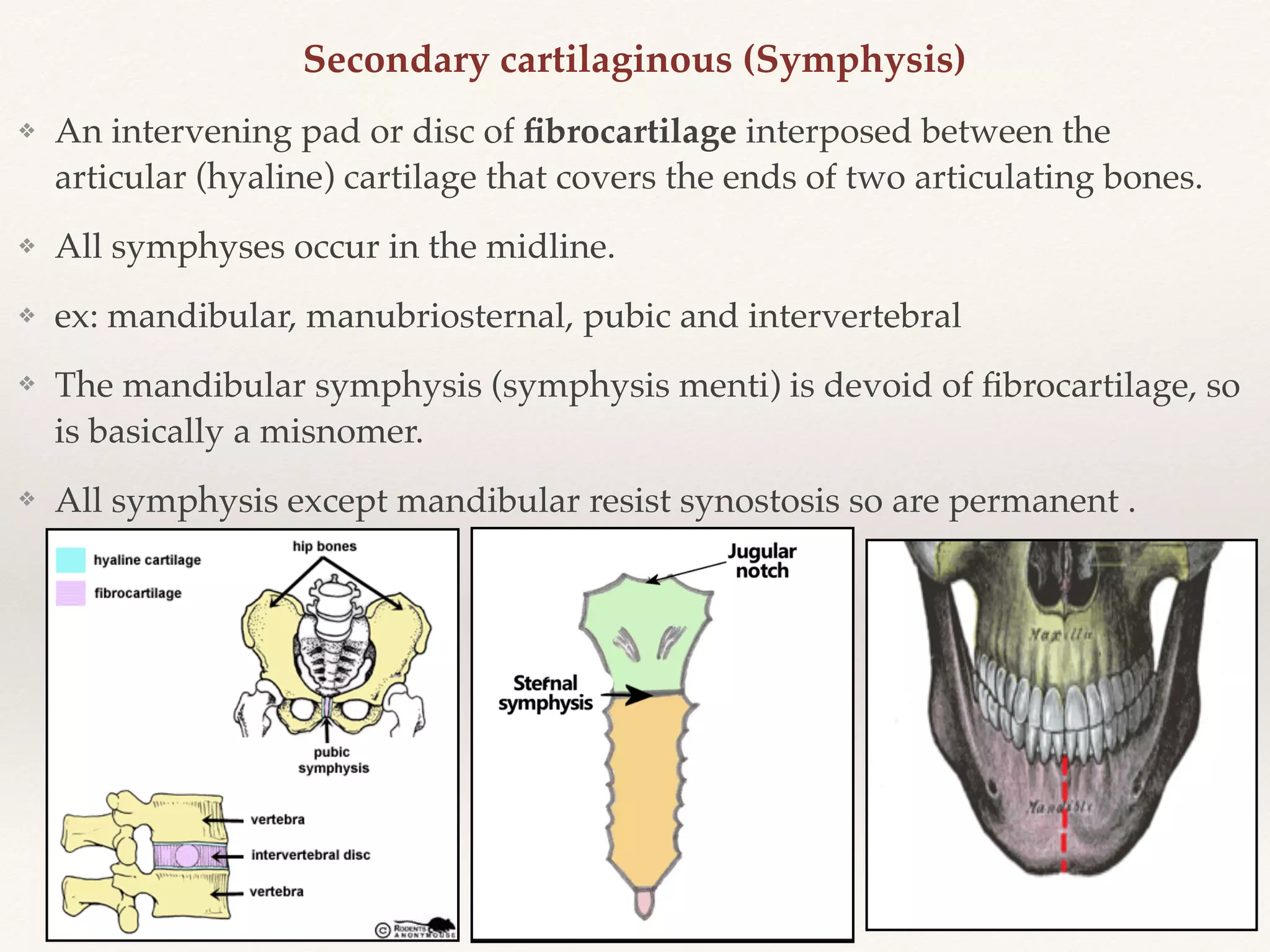 Classification of joints & joint mechanics | PDF