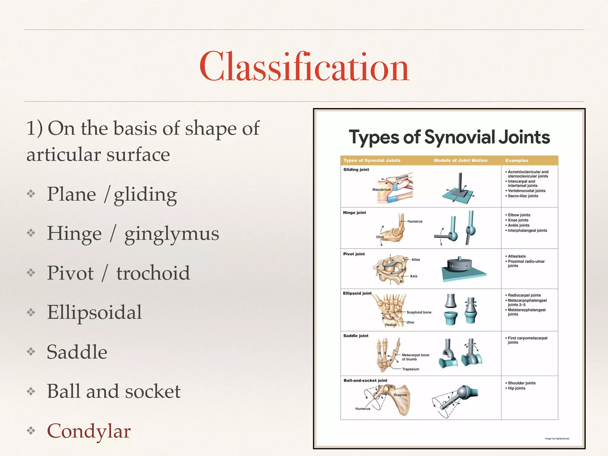 Classification of joints & joint mechanics | PDF