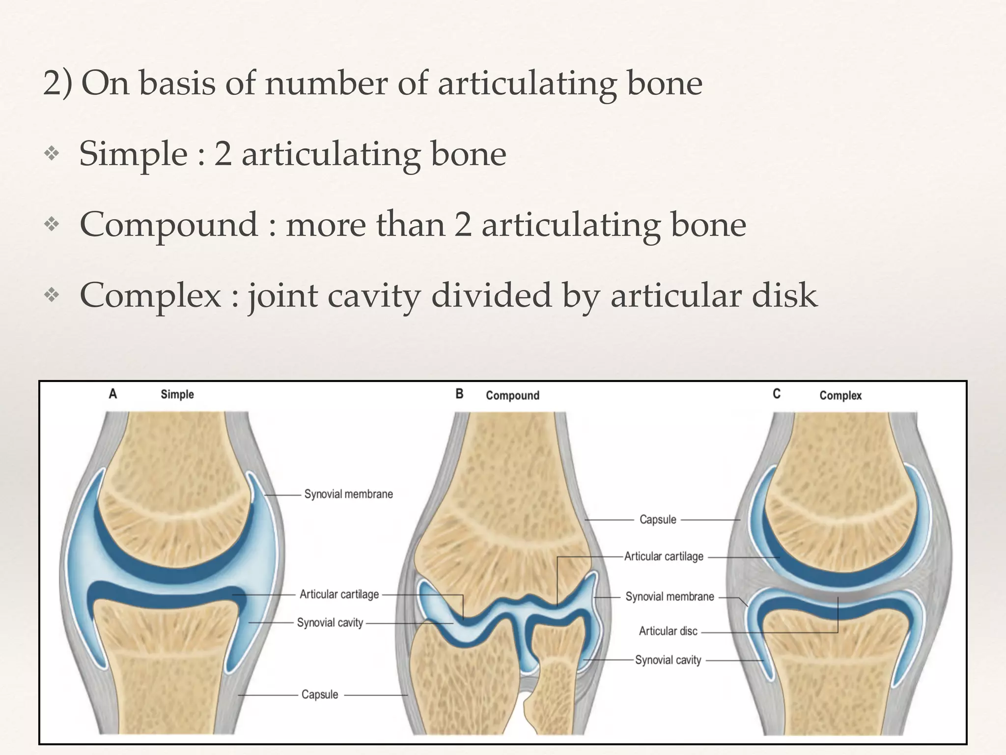 Classification of joints & joint mechanics | PDF