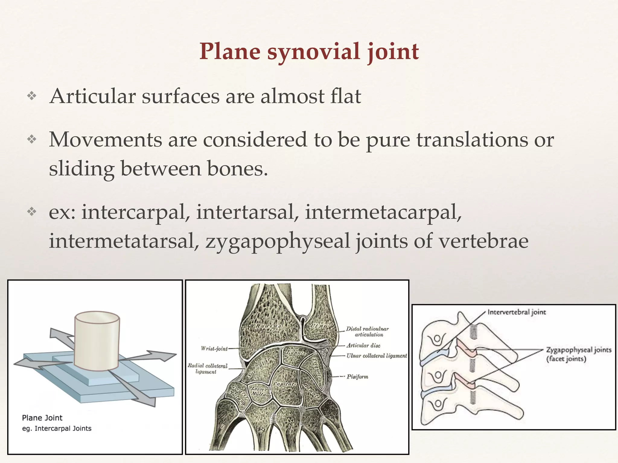 Classification of joints & joint mechanics | PDF