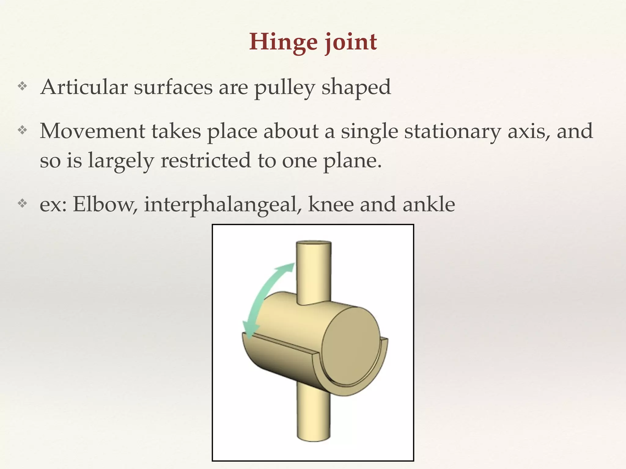 Classification of joints & joint mechanics | PDF