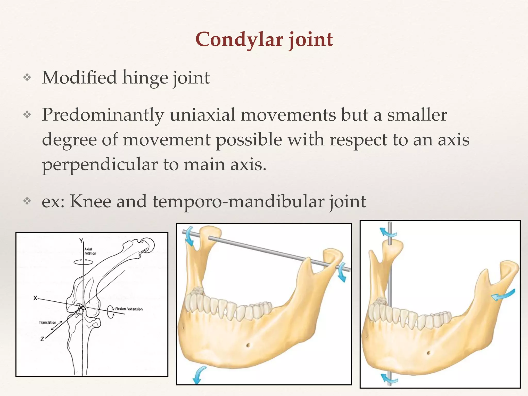 Classification of joints & joint mechanics | PDF