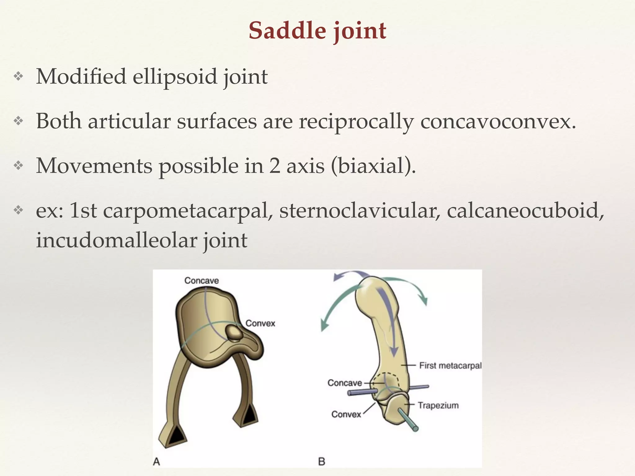 Classification of joints & joint mechanics | PDF