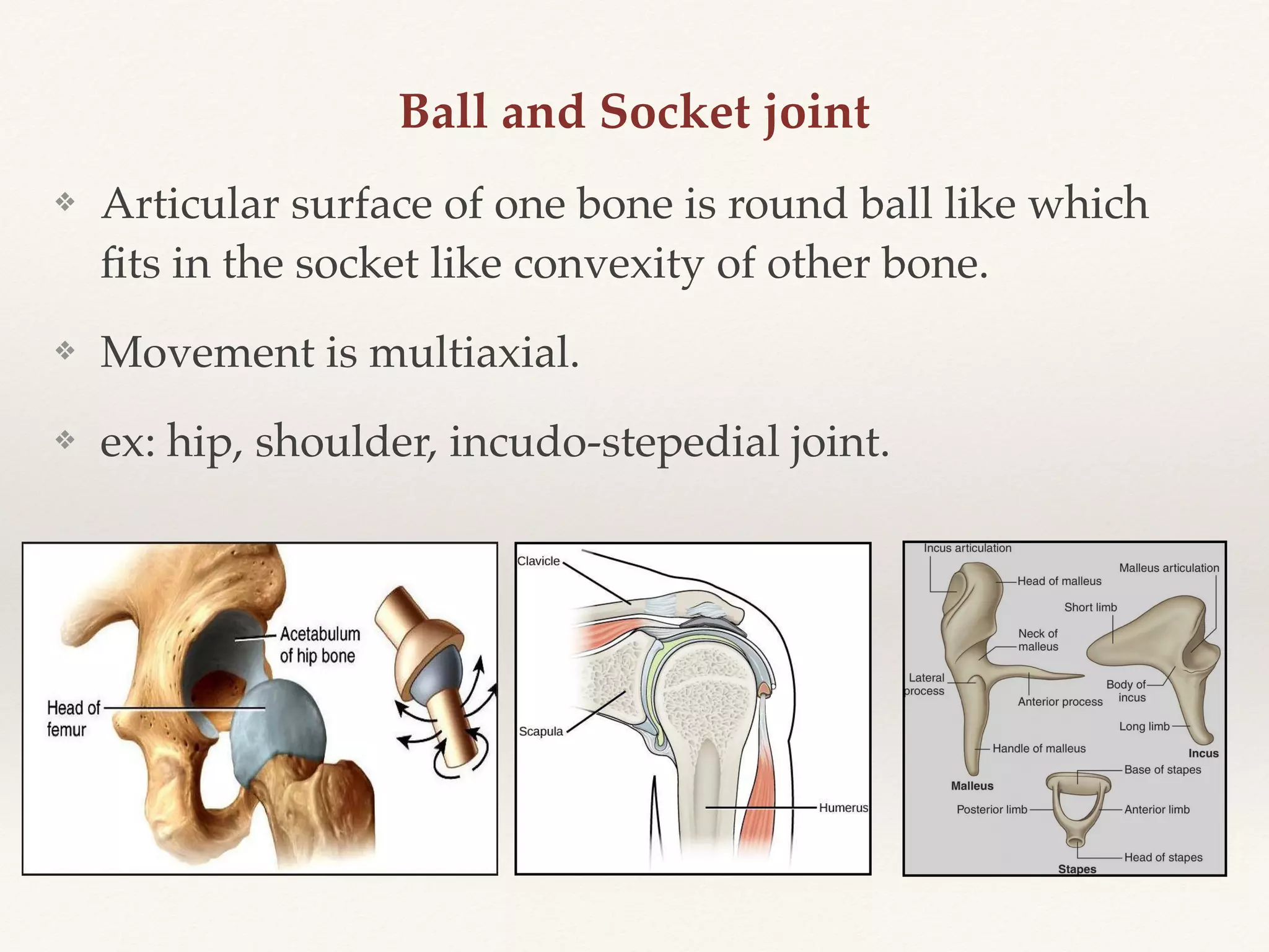 Classification of joints & joint mechanics | PDF