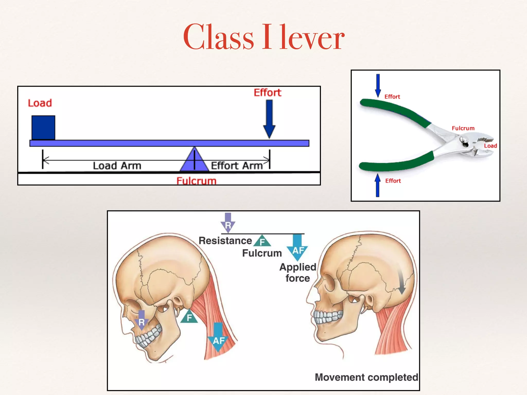 Classification of joints & joint mechanics | PDF