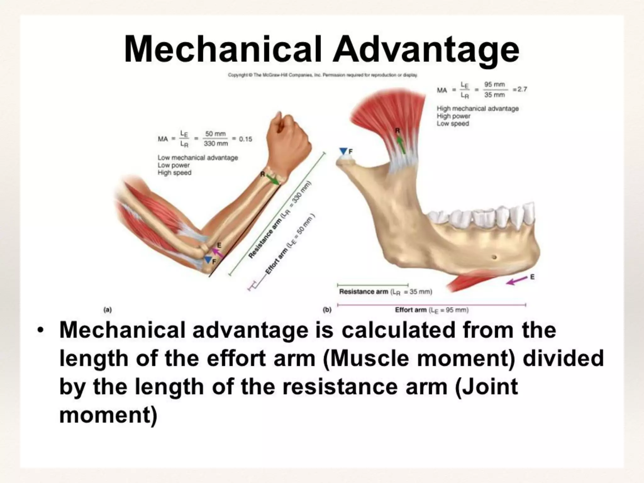 Classification of joints & joint mechanics | PDF