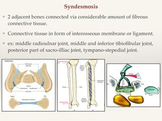 Classification of joints & joint mechanics | PDF