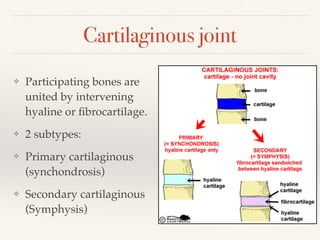 Classification of joints & joint mechanics | PDF