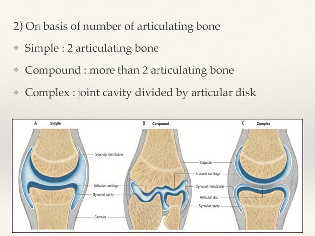 Classification of joints & joint mechanics | PDF
