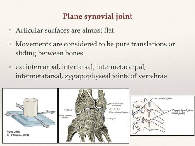 Classification of joints & joint mechanics | PDF
