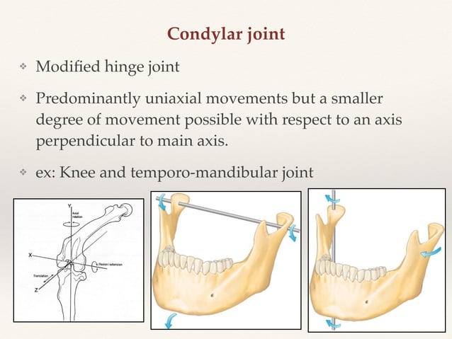 Classification of joints & joint mechanics | PDF