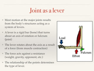 Classification of joints & joint mechanics | PDF