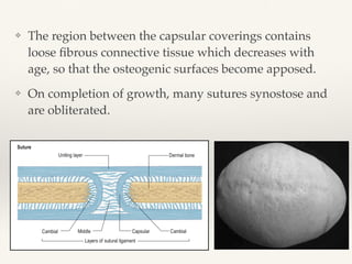 Classification of joints & joint mechanics | PDF