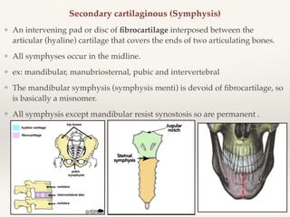 Symphysis Menti