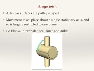 Mechanical Hinge Joint