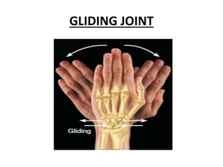 Gliding Joint In Wrist