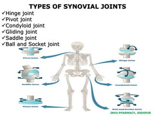 JOINTS | PPTX
