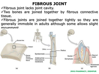 JOINTS | PPTX