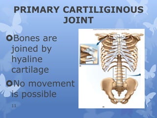 Joints | PPT