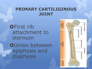 Joints | PPT