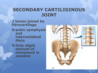 Joints | PPT
