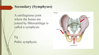 Joints and its classification | PPTX