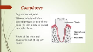 Joints and its classification | PPTX
