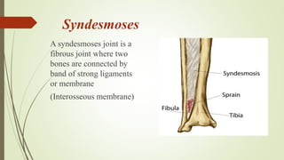 Joints and its classification | PPTX