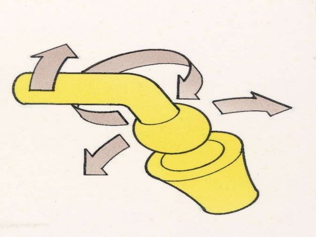 The Joints | PPTX | Death, Injury, or Military Conflict | Sensitive Topics