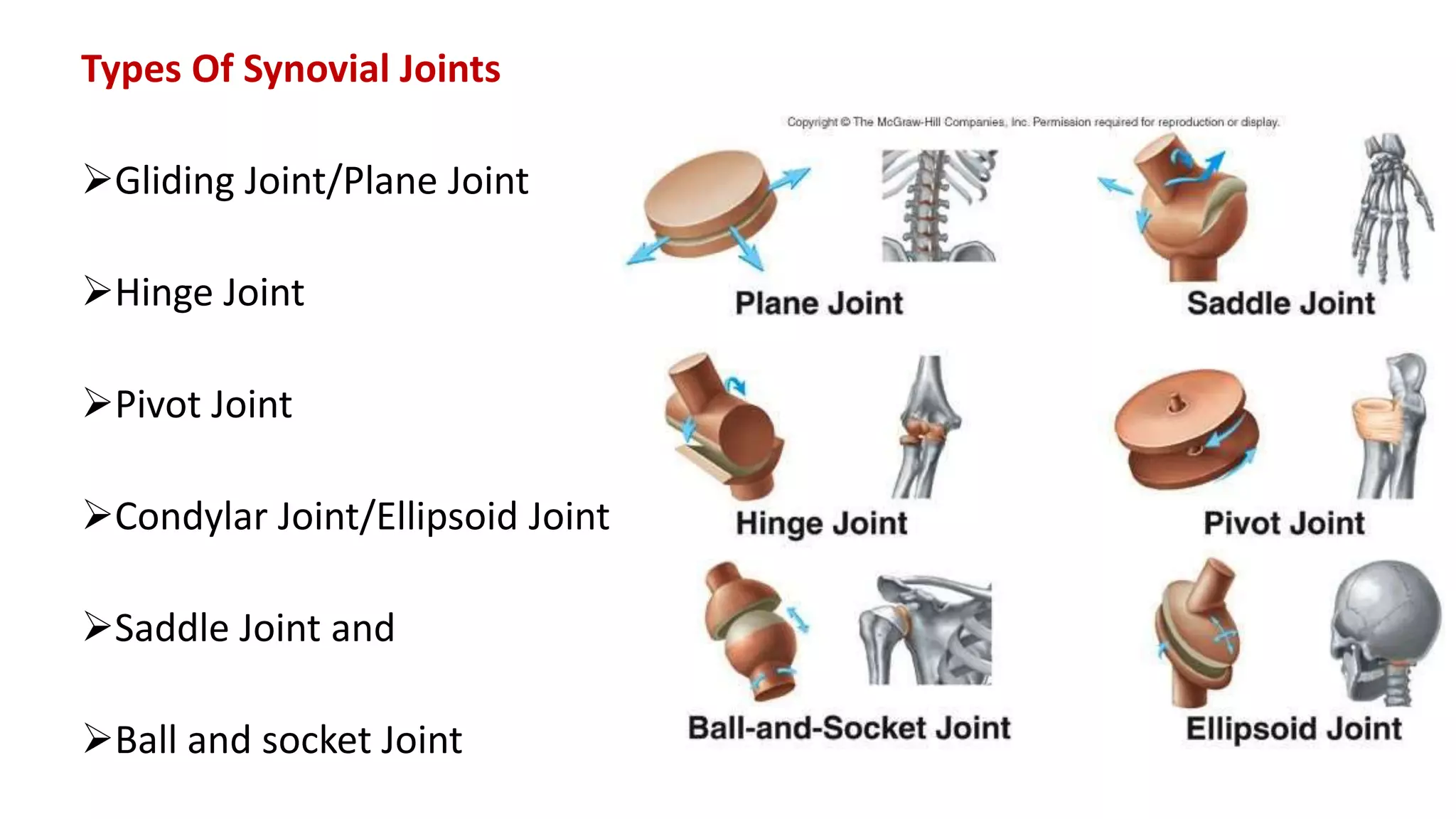 Joints | PPTX