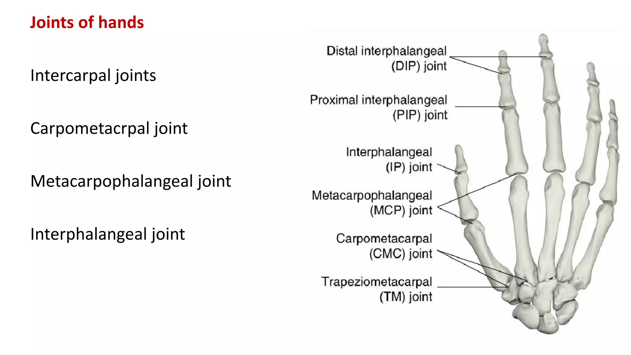 Joints | PPTX