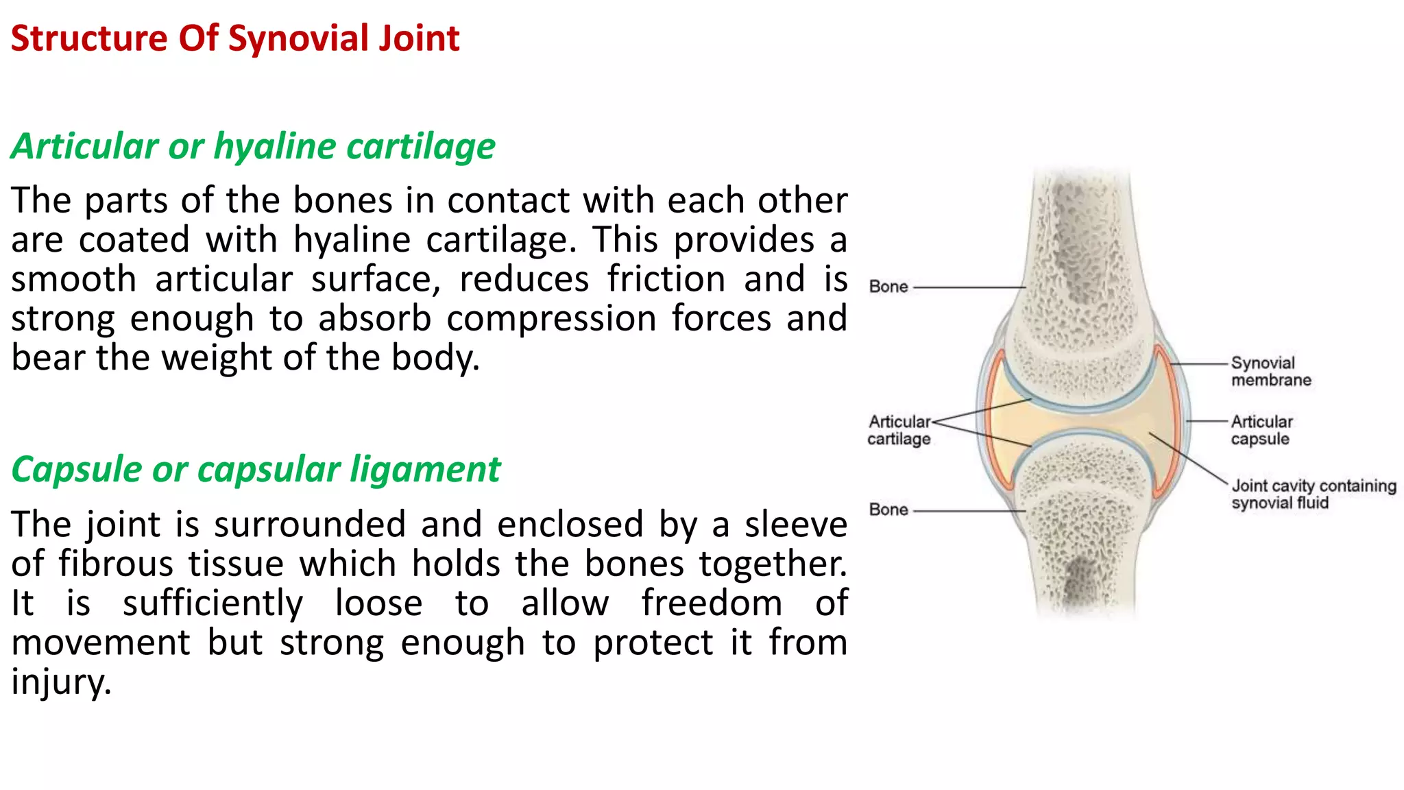 Joints | PPTX