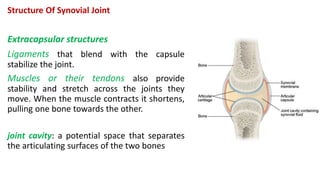 Joints | PPTX