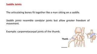 Joints | PPTX