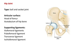 Joints | PPTX