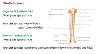 Joints | PPTX