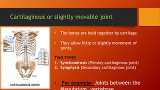 Joints and movement | PPTX